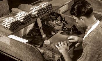 Usefull information about your premium cigar | Top Quality Cigars